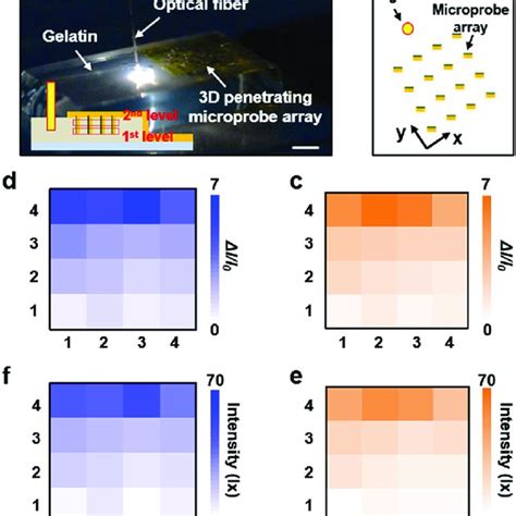 Demonstration Of The Light Intensity Mapping A Optical Image Of The Download Scientific