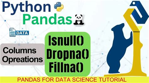 Isnull Dropna Fillna Functions In Pandas Pandas Tutorial For Data