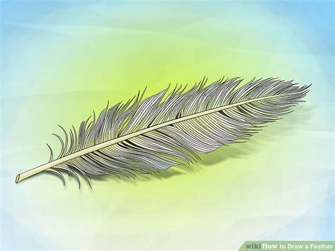 How To Draw A Feather 4 Easy Steps With Pictures