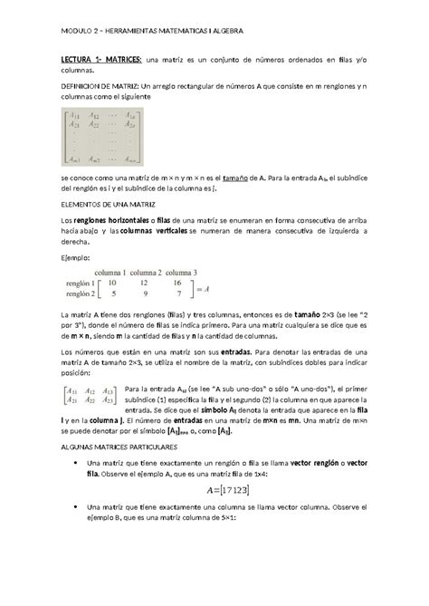 Resumen M2 Algebra Lectura 1 Matrices Una Matriz Es Un Conjunto De Números Ordenados En