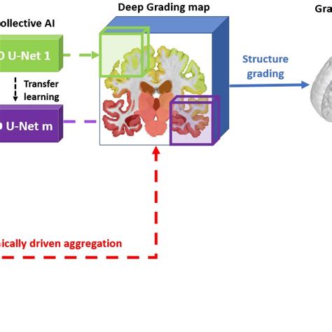 Umap Visualization Of Test Set Download Scientific Diagram