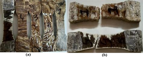 A Tensile Specimen Prepared For Tensile Test And B Fractured Download Scientific Diagram