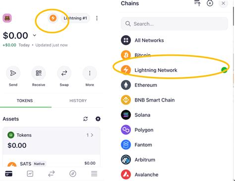 Introducing Flash Protocol The Premier Platform For Bitcoin By Flash Protocol Medium