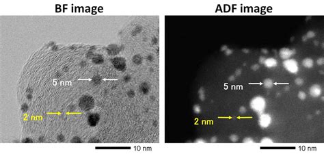 Scanning Transmission Electron Microscopy