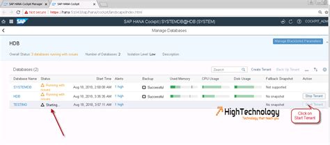 Start And Stop A Sap Hana Tenant Database Hightechnology