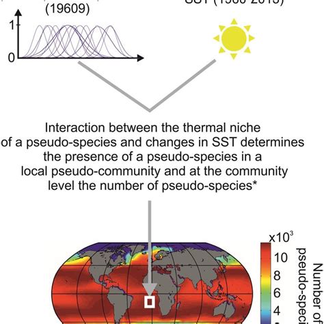 Schematics That Illustrate How The Metal Model Generates Pseudo Species