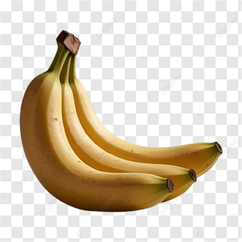 واقعية صورة الموز المرسومة موز الموز المرسومة كرتون موز Png صورة