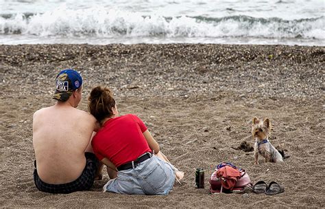 Отели Черноморского побережья России повысили цены из за закрытых границ