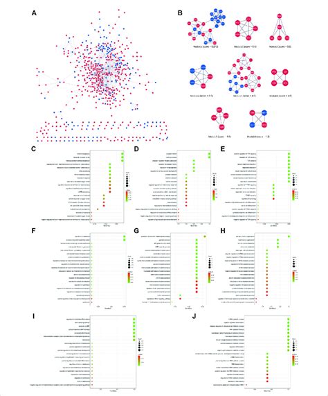 A The Interaction Network Between Proteins Coded By Degs Comprised
