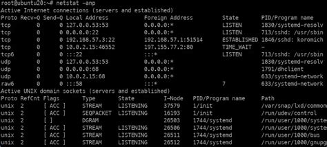 How To Use Netstat Command In Linux