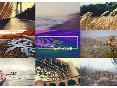 图片悬停效果源码，实用的背景悬停效果 17素材网