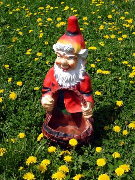 Colorful Garden Gnome With Dandelions Free Stock Photo Freeimages