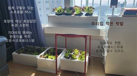 스츠로폼박스를 이용하여 채소 모종으로 수경재배 작은텃밭을 만들는 방법입니다 Youtube