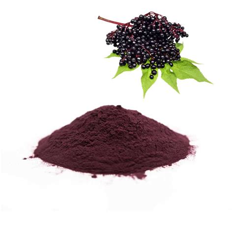 Elderberry Extractelderberry Powder