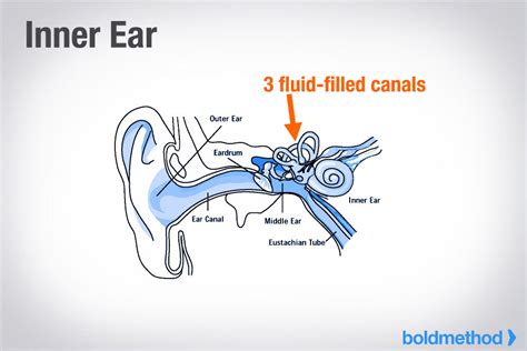 Bitacora De Un Piloto Spatial Disorientation