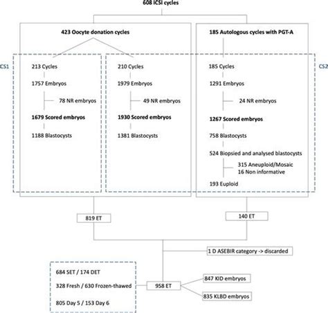 Arantzazu Delgado Mendive On Linkedin Clinical Validation Of An Automatic Classification