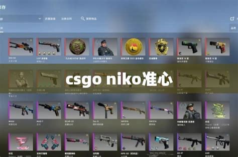 csgo niko准心 CS2知识库 CSGO攻略基地
