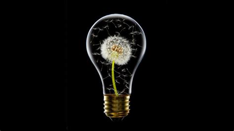 Why Constraints Are Good For Innovation