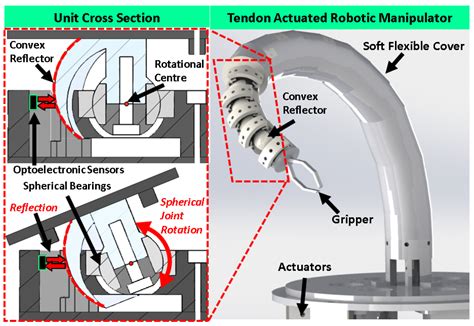 Shape Sensing For Continuum Robotics Using Optoelectronic Sensors With Convex Reflectors