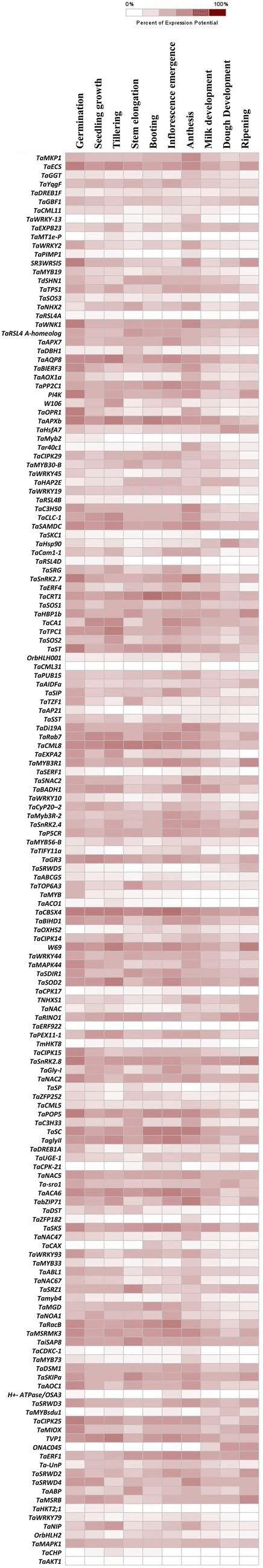 Rna Seq Based Developmental Specific Expression Profiles Of Salt Stress Download Scientific