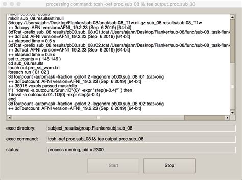 Intermezzo Running The Uber Subject Script — Andys Brain Book 1 0 Documentation