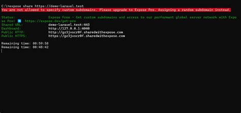Expose — Share Your Local Laravel Application With Others On The