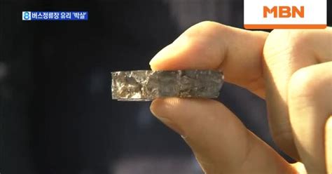 새총으로 버스정류장 유리 박살 낸 택시기사