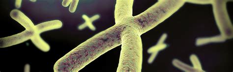 Overcoming The Challenges Of Genomics Workflows