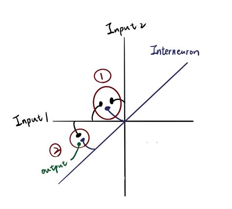 encoding a triadic synapse model support brian simulator