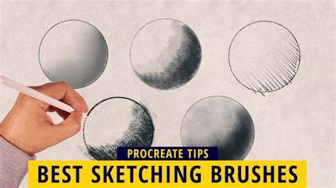 TOP Best Default Sketching Brushes In Procreate Procreate Procreate Ipad Tutorials Sketches