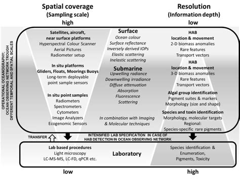 4 Spatial Coverage And Resolution Information Depth Of Optically Download Scientific Diagram