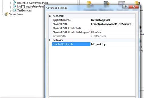 Convert Existing Biztalk Wcf Service From “” Binding To “nettcp