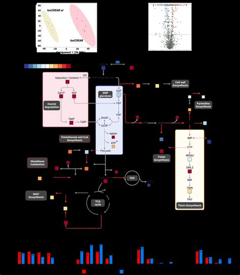 Metabolomic Analysis Of Bioluminescence Bioreporter Cells A