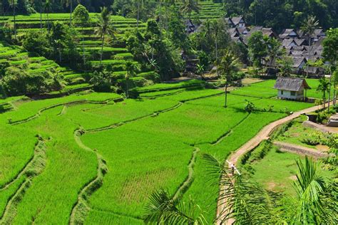 Tasikmalaya Indonesia 2024 All You Need To Know Before You Go