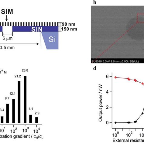 A B Diagram And Sem Image Of Simsin Structure C Rectification Ratio Download Scientific