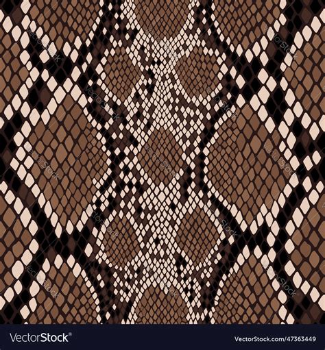 Seamless Snake Skin Pattern Exotic African Vector Image