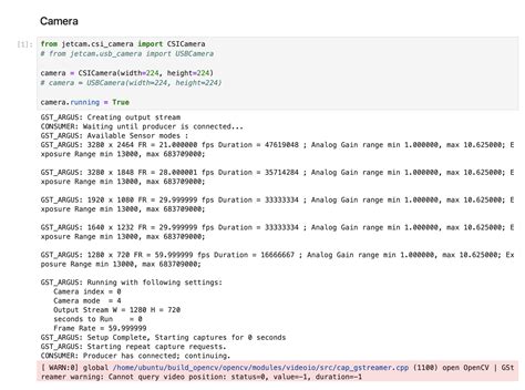 Jetracer No Camera Widget When Running Interactiveregression Jetson Orin Nano Nvidia