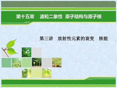 重庆市万州分水中学高考物理一轮复习指导课件：第15章 第3讲 放射性元素的衰变 核能 Word文档在线阅读与下载 无忧文档