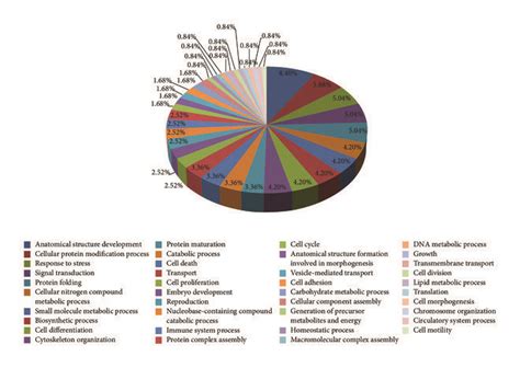 Functional Annotations Of All Identified Proteins All Identified