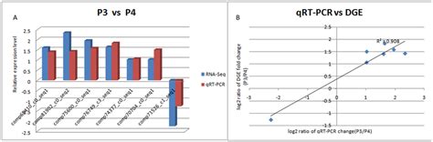 Quantitative Reverse Transcription Pcr Validation Of Differentially Download Scientific Diagram