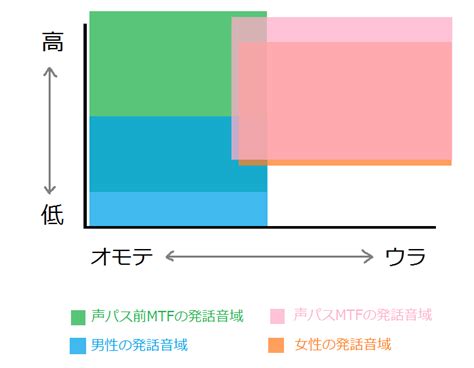 男性の声と女性の声の違い 旅する介護士ふみのブログ
