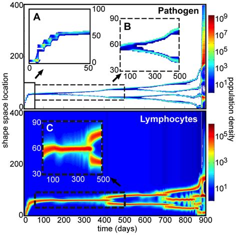 Coevolving Shape Space Distributions Of Pathogen And T Cell Populations