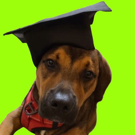 Word Nerd Trivia Quizzes YouTube