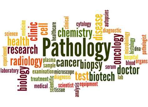 Best Pathologist Illustrations Royalty Free Vector Graphics And Clip Art