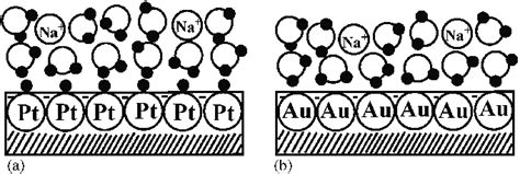 Proposed Models For Interfacial Water Molecules Adsorbed On Film Download Scientific Diagram
