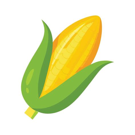 Elegant Sweet Corn Kernel With Shiny Texture 57240935 Vector Art At Vecteezy