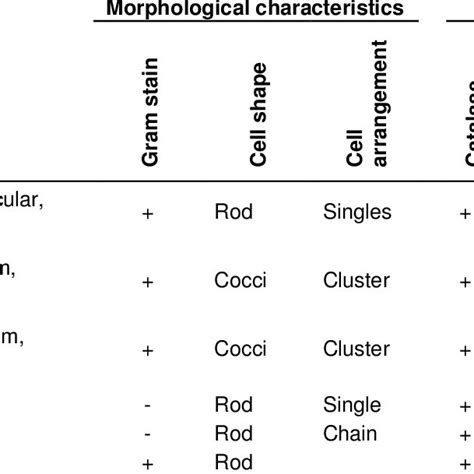 Characteristics Of Bacterial Isolates Download Table