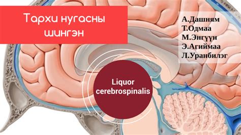 НУГАСНЫ ШИНГЭН By Odmaa Gambit On Prezi