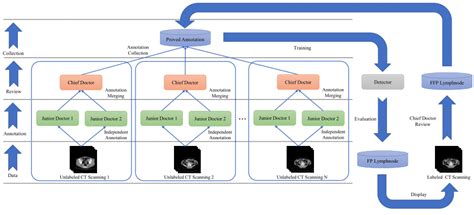 The Pipeline Of Pelvic Lymph Node Annotation Download Scientific Diagram