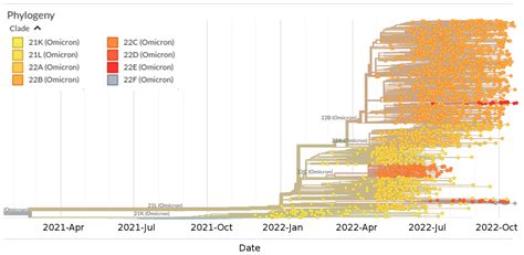 Genetic And Structural Data On The Sars Cov 2 Omicron Bq1 Variant Reveal Its Low Potential For